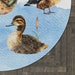 Duck Nursery Rug, Duck Nursery Decor, Ducks Round Rug, Kids Play Room ...