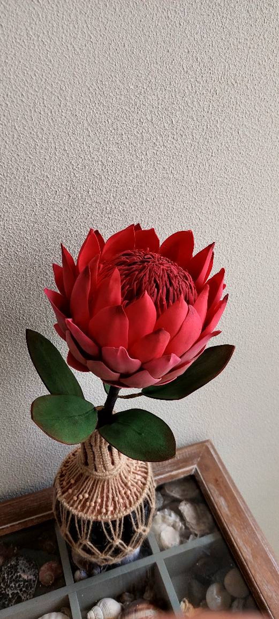 King Protea/flower Protea/weding Flower/foam Flower/christmas Flower ...