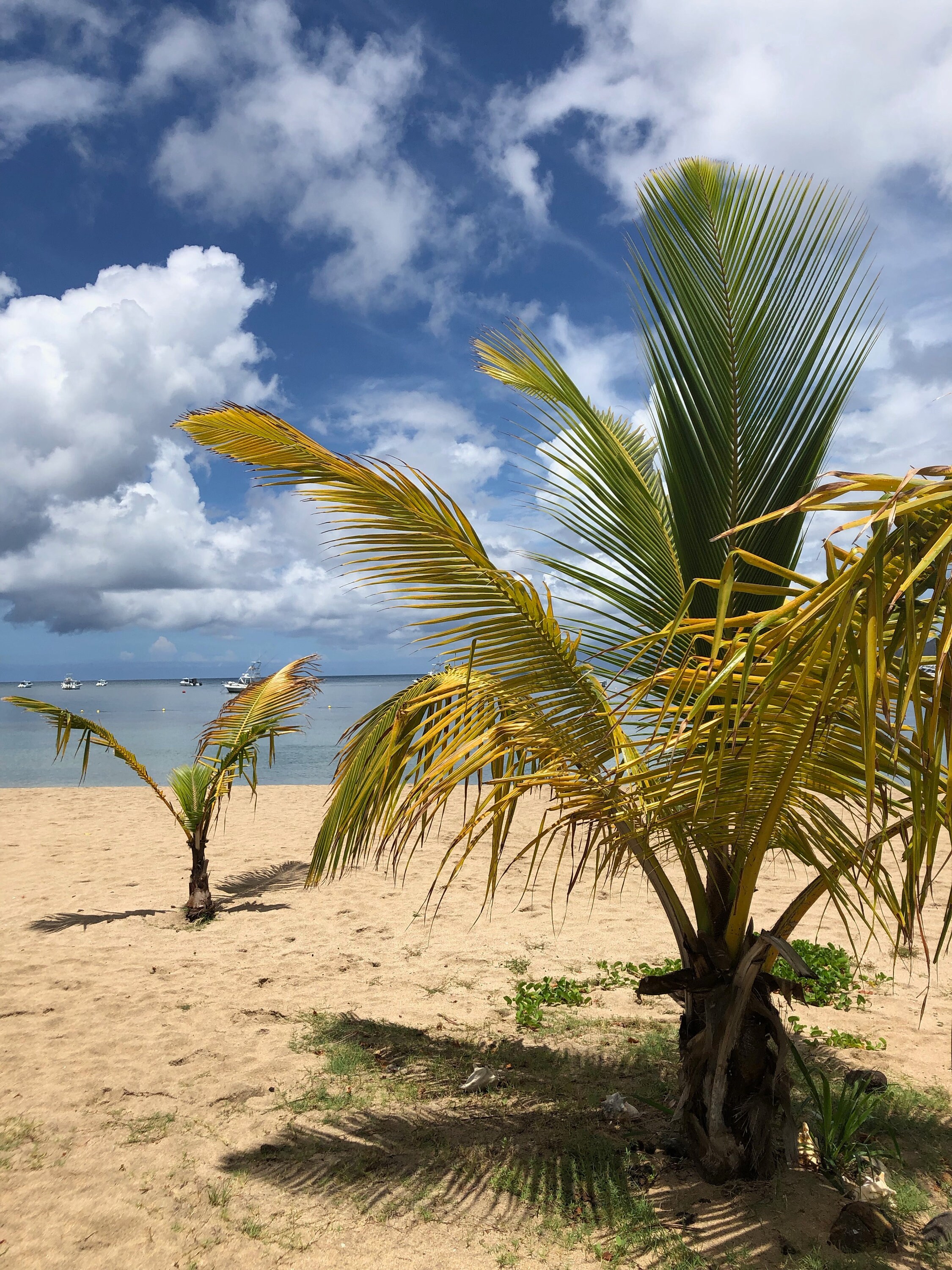 Beachy Preset | Etsy