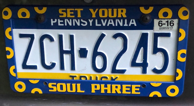 Set Your Soul Phree X 2 Two Phish-inspired License Plate | Etsy