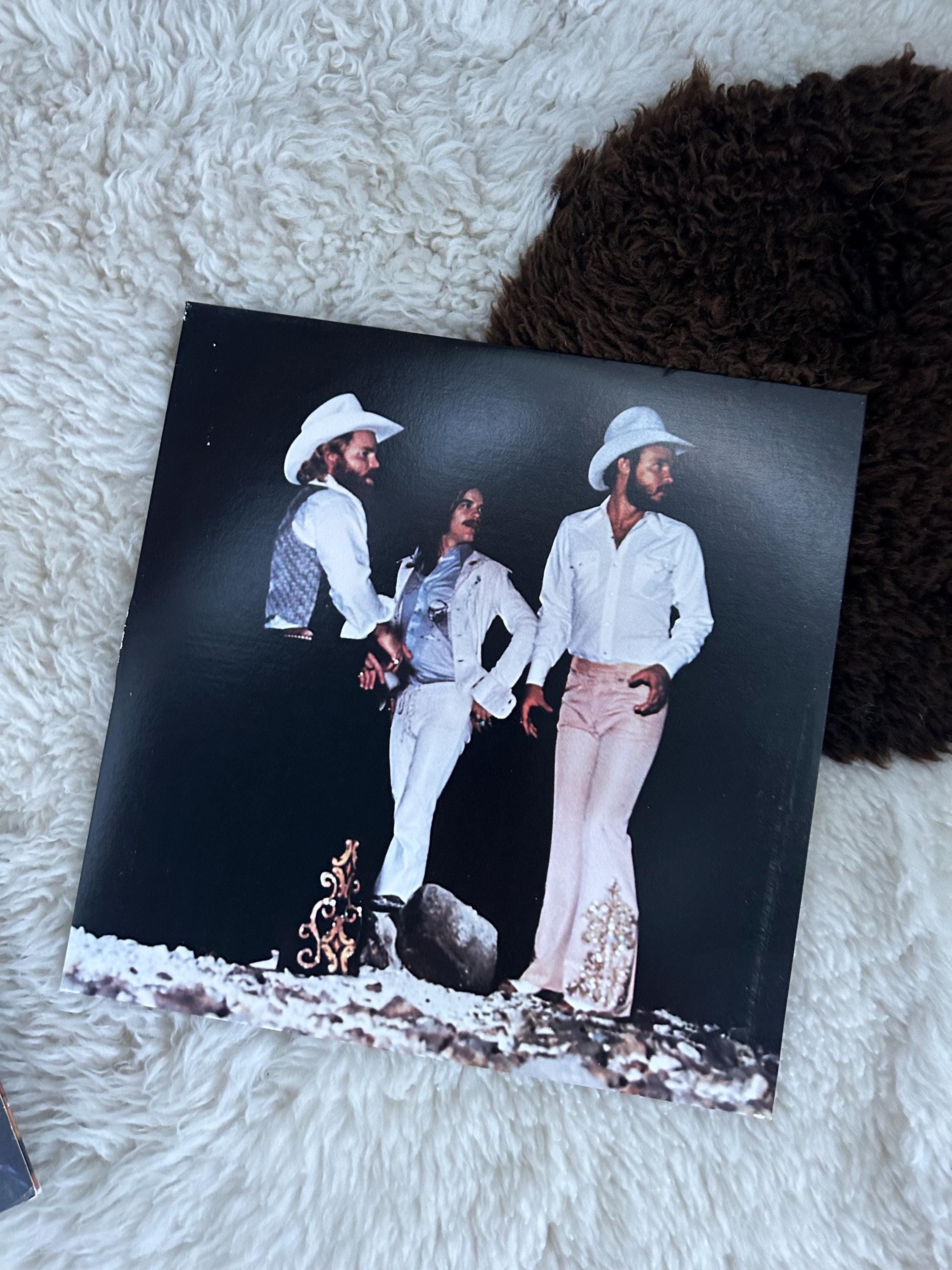 ZZ Top-tejas Vinyl Album-ps 680 - Etsy