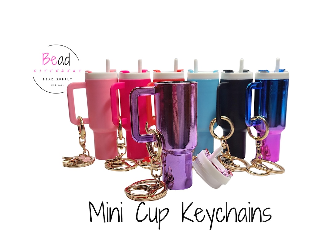 Mini Tumbler Keychain, Lip Balm Small Holder, Multi-colored Keychain ...