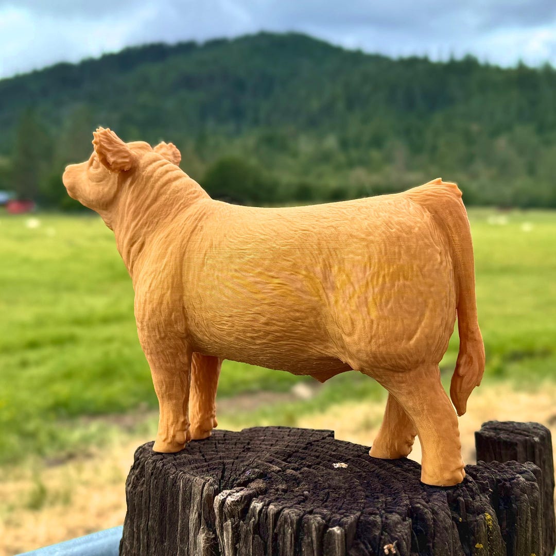 3D Printed Show Steer Sculpture - Etsy
