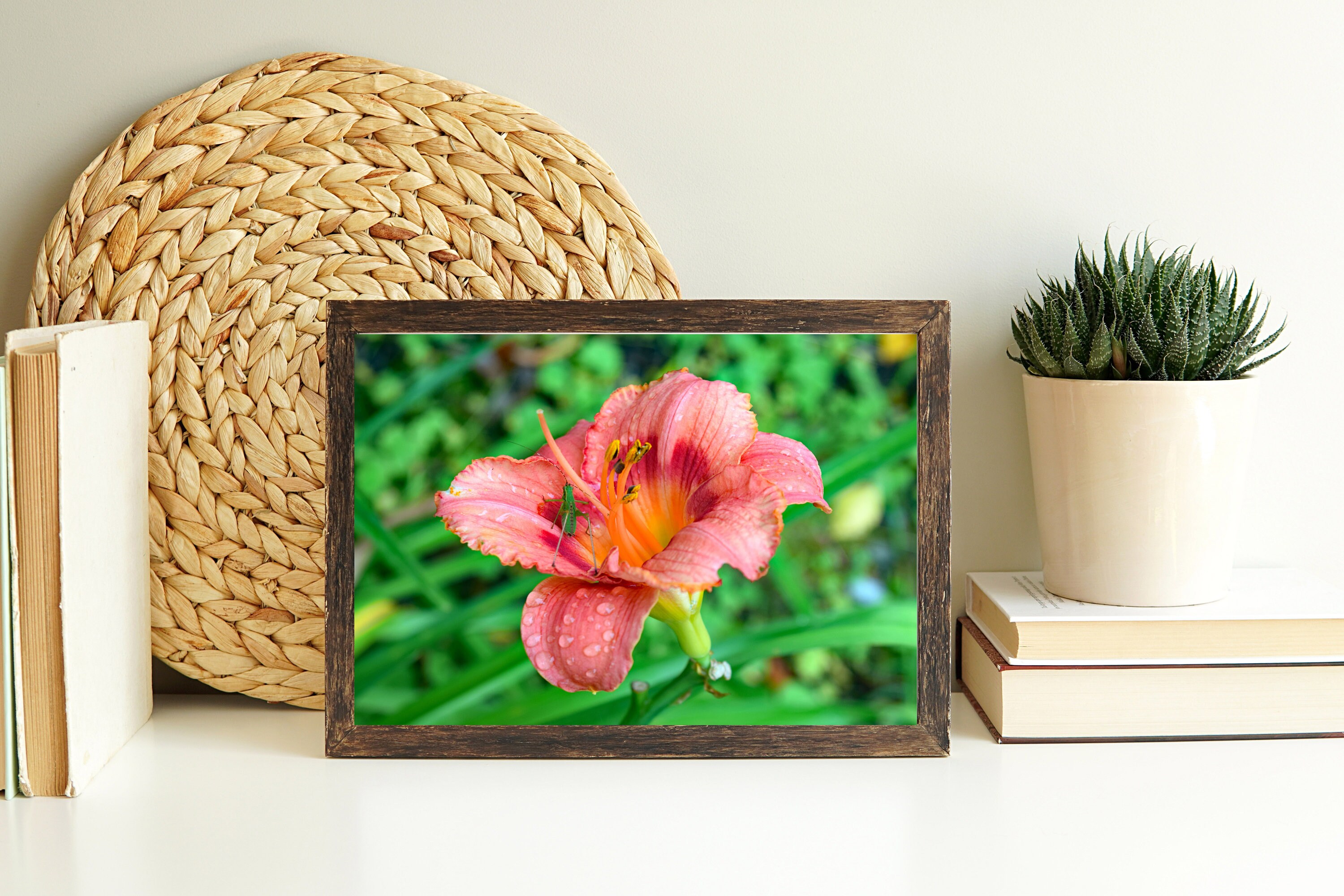 Lily Flower Photo Print, Pink Daylily Flower Photography, Blush Pink ...