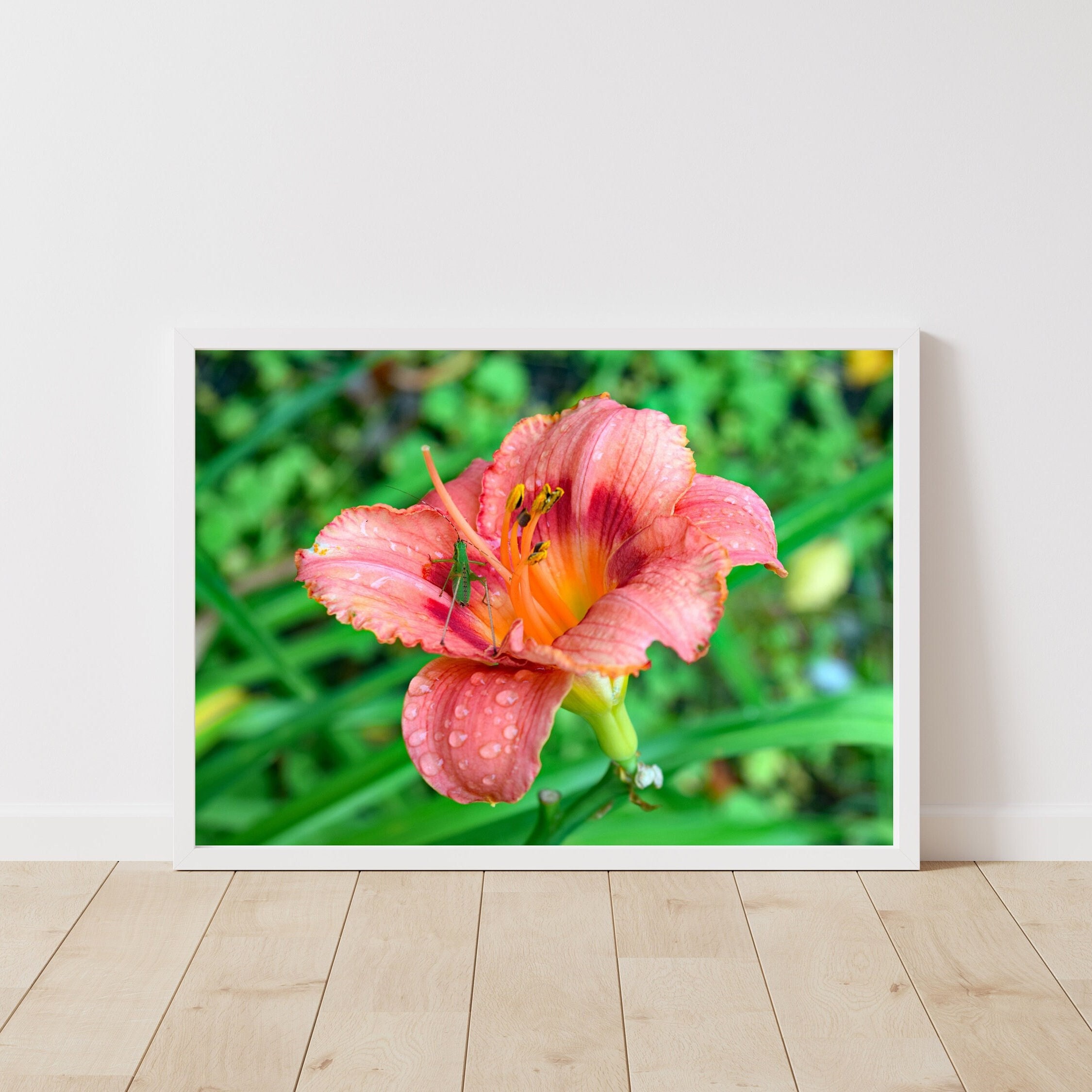 Lily Flower Photo Print, Pink Daylily Flower Photography, Blush Pink ...