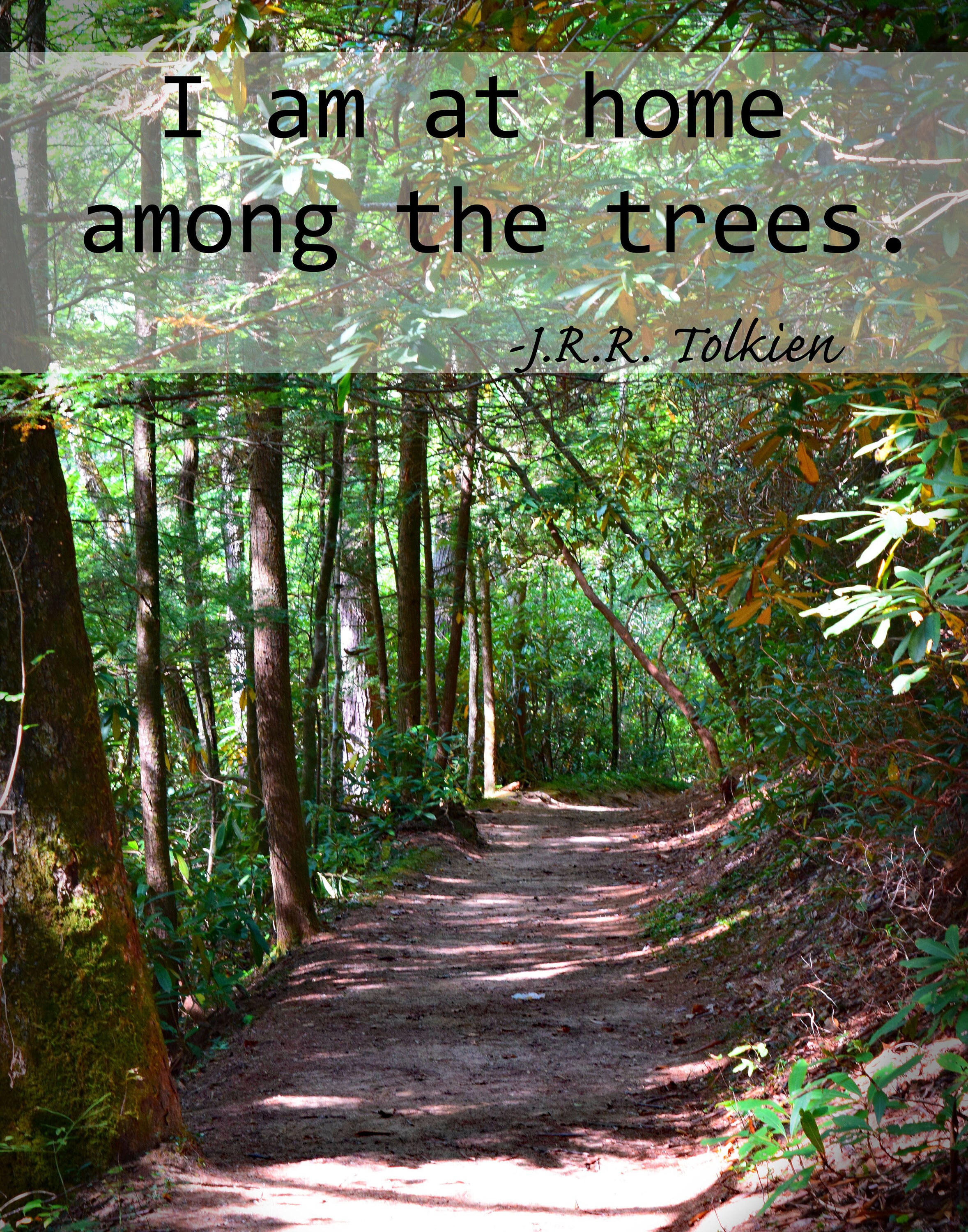 I Am at Home Among the Trees, JRR Tolkien Quote Photo Print, Lord of ...