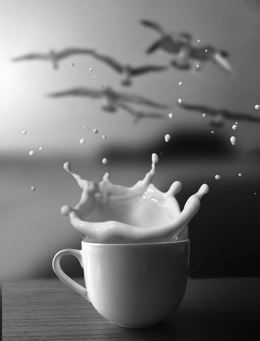 FOCUS Art Print Photography Animal Art Magic Wall Art Decor Birthday ...