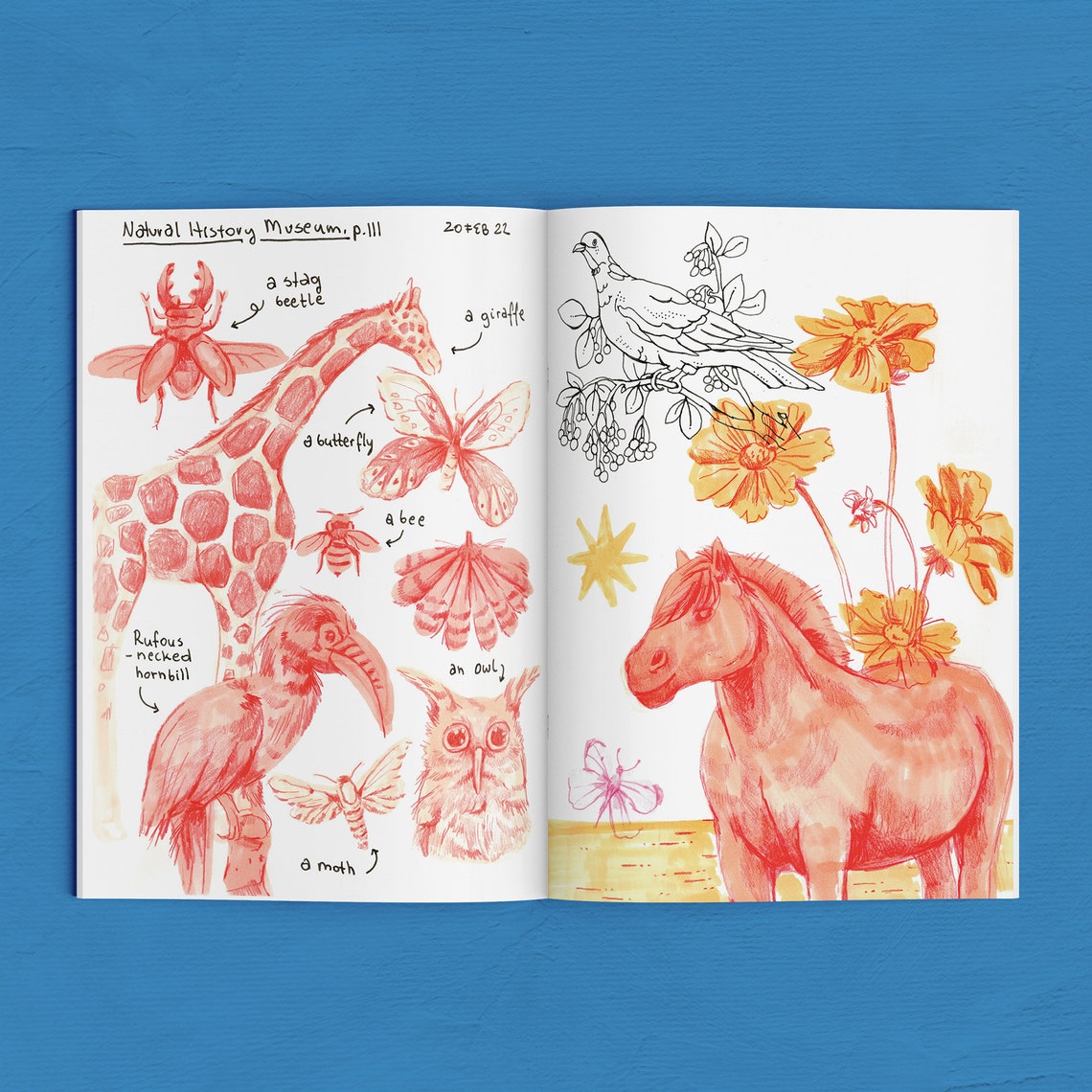 Animals Sketchbook Zine - Artist Zine - Art Sketchbook - Illustration ...