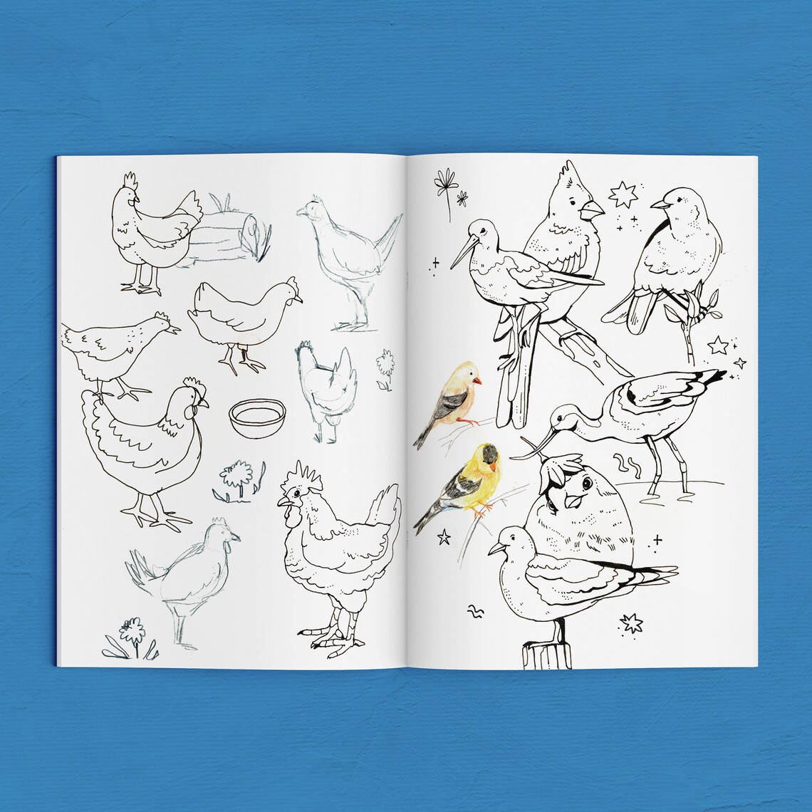 Animals Sketchbook Zine - Artist Zine - Art Sketchbook - Illustration ...