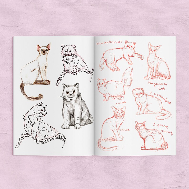 Cats Sketchbook Zine Artist Zine Art Sketchbook - Etsy