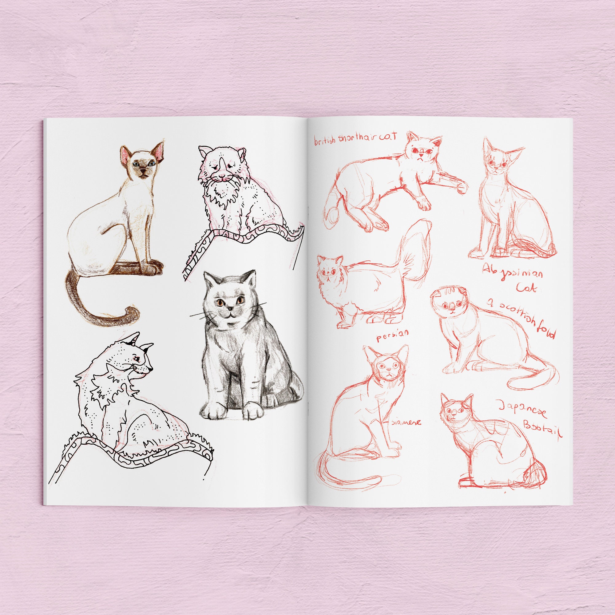 Cats Sketchbook Zine Artist Zine Art Sketchbook - Etsy