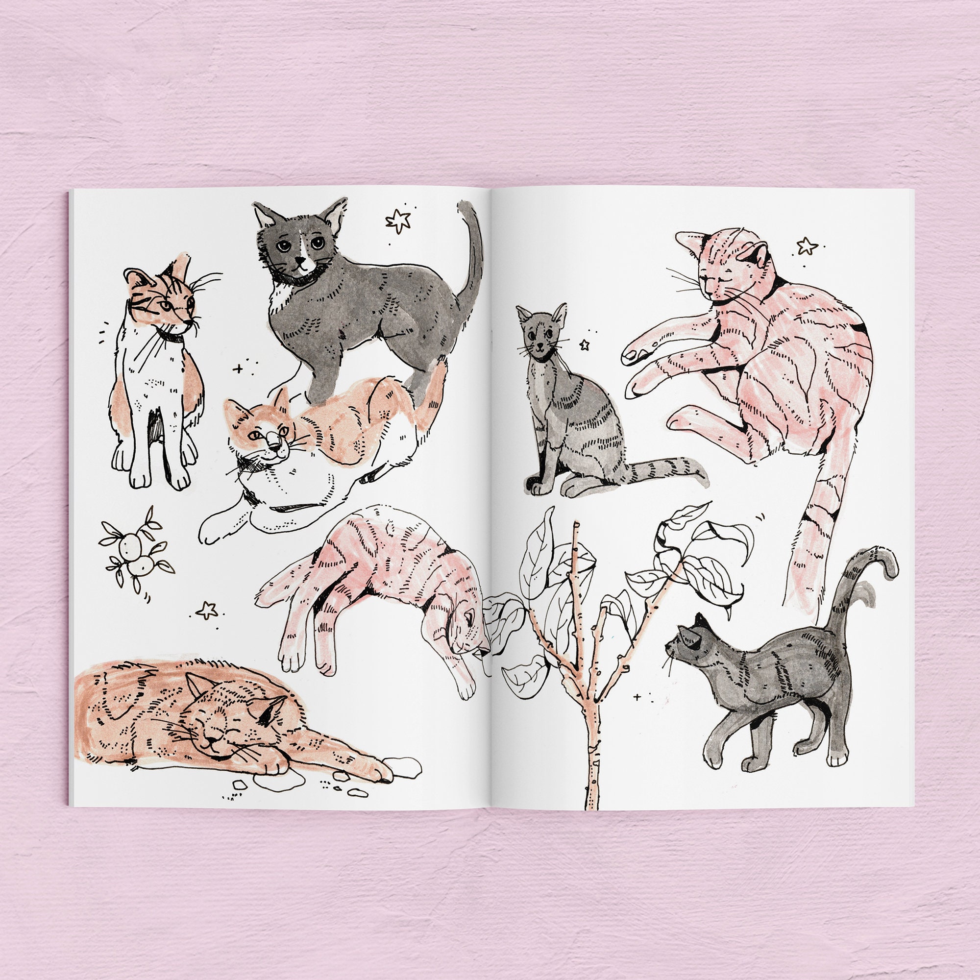 Cats Sketchbook Zine Artist Zine Art Sketchbook - Etsy