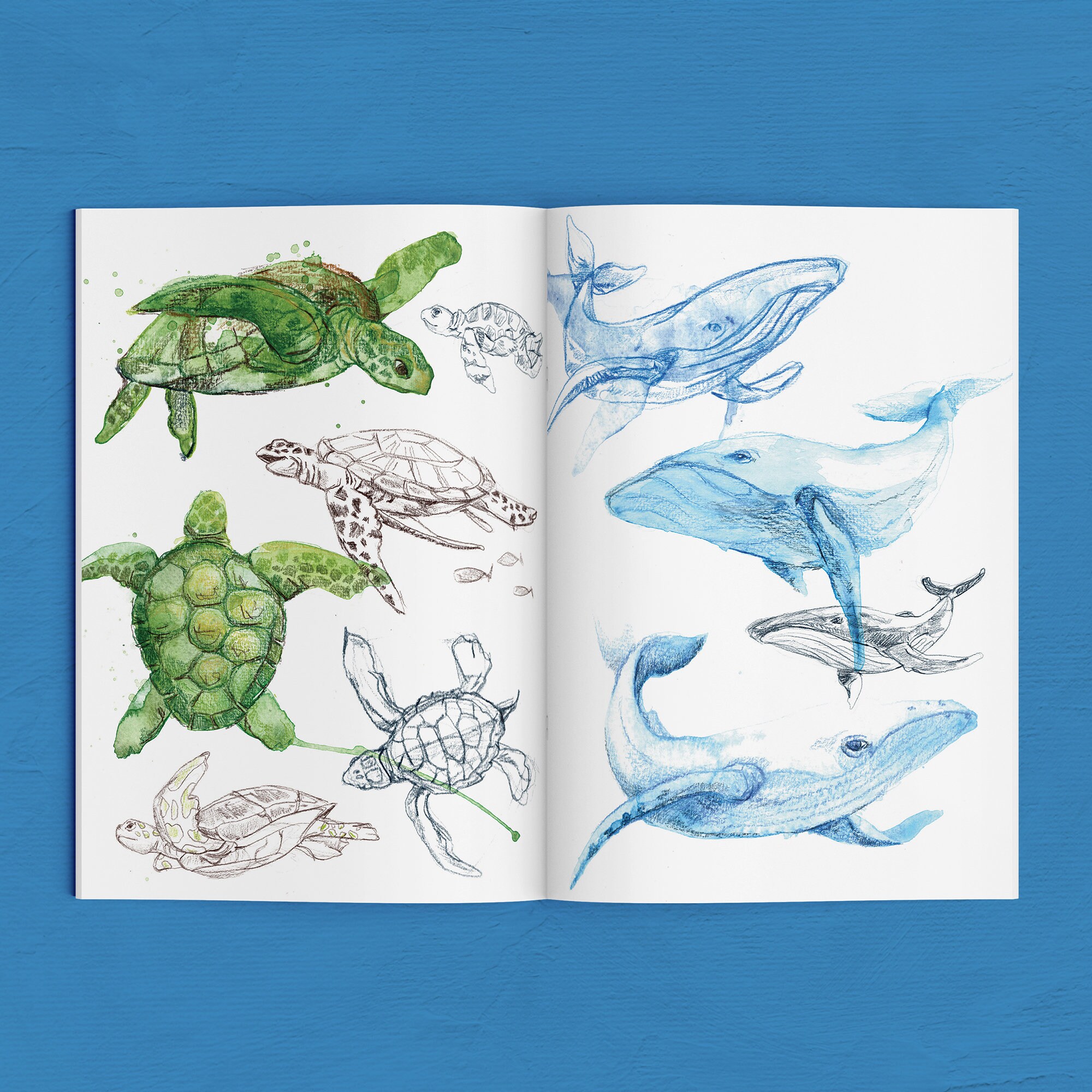 Animals Sketchbook Zine - Artist Zine - Art Sketchbook - Illustration ...