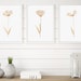 Set of 3 Flower Prints Simple Prints Neutral Prints Floral Prints Set ...