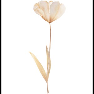 Set of 3 Flower Prints Simple Prints Neutral Prints Floral Prints Set ...