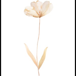 Set of 3 Flower Prints Simple Prints Neutral Prints Floral Prints Set ...