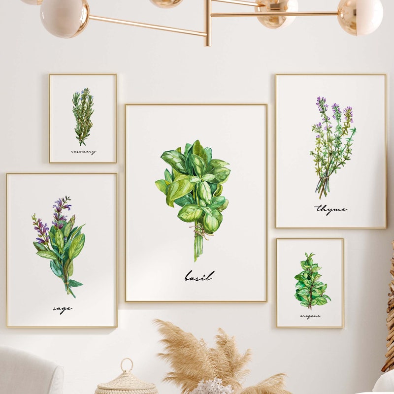 Herb Poster - Etsy