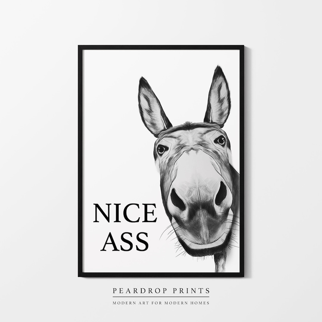 Framed Nice Ass Donkey in Bathroom Decor, Bathroom Accessories, Prints in UK, A3 Funny Bathroom ...