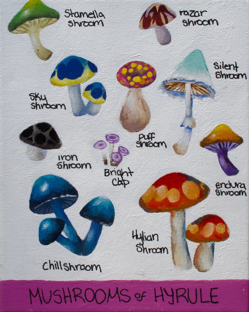 Six Choices Legend of Zelda Breath of the Wild(botw)/tears of the ...