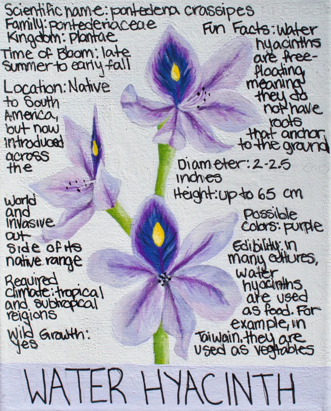 10 Choices Flower Informational Posters. 8x10 Original Canvas Paintings ...