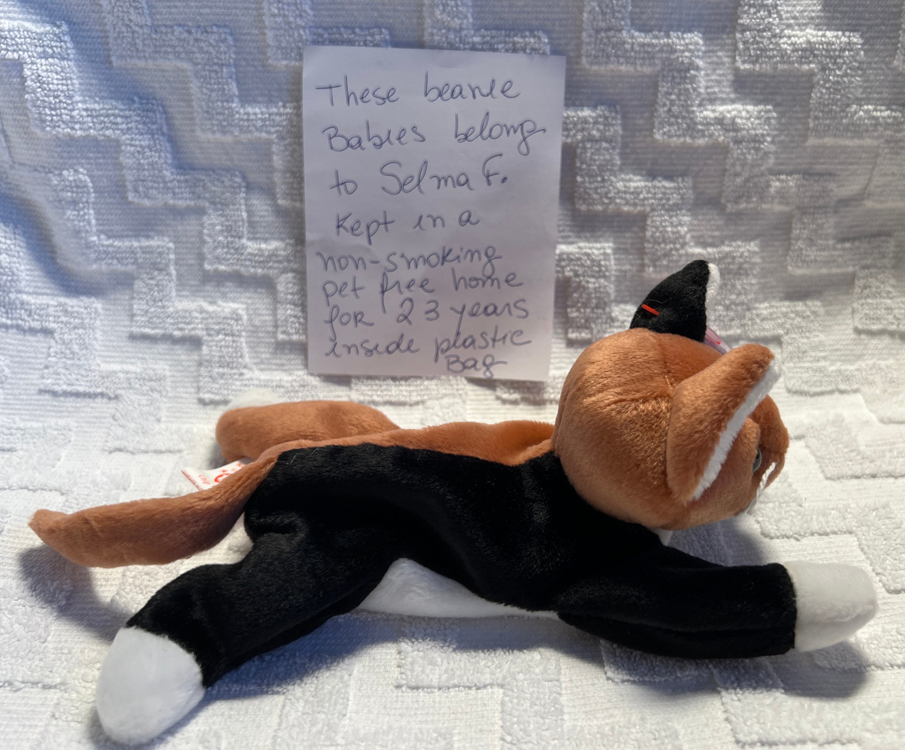 Rare Chip Cat Beanie Baby Limited Production. - Etsy