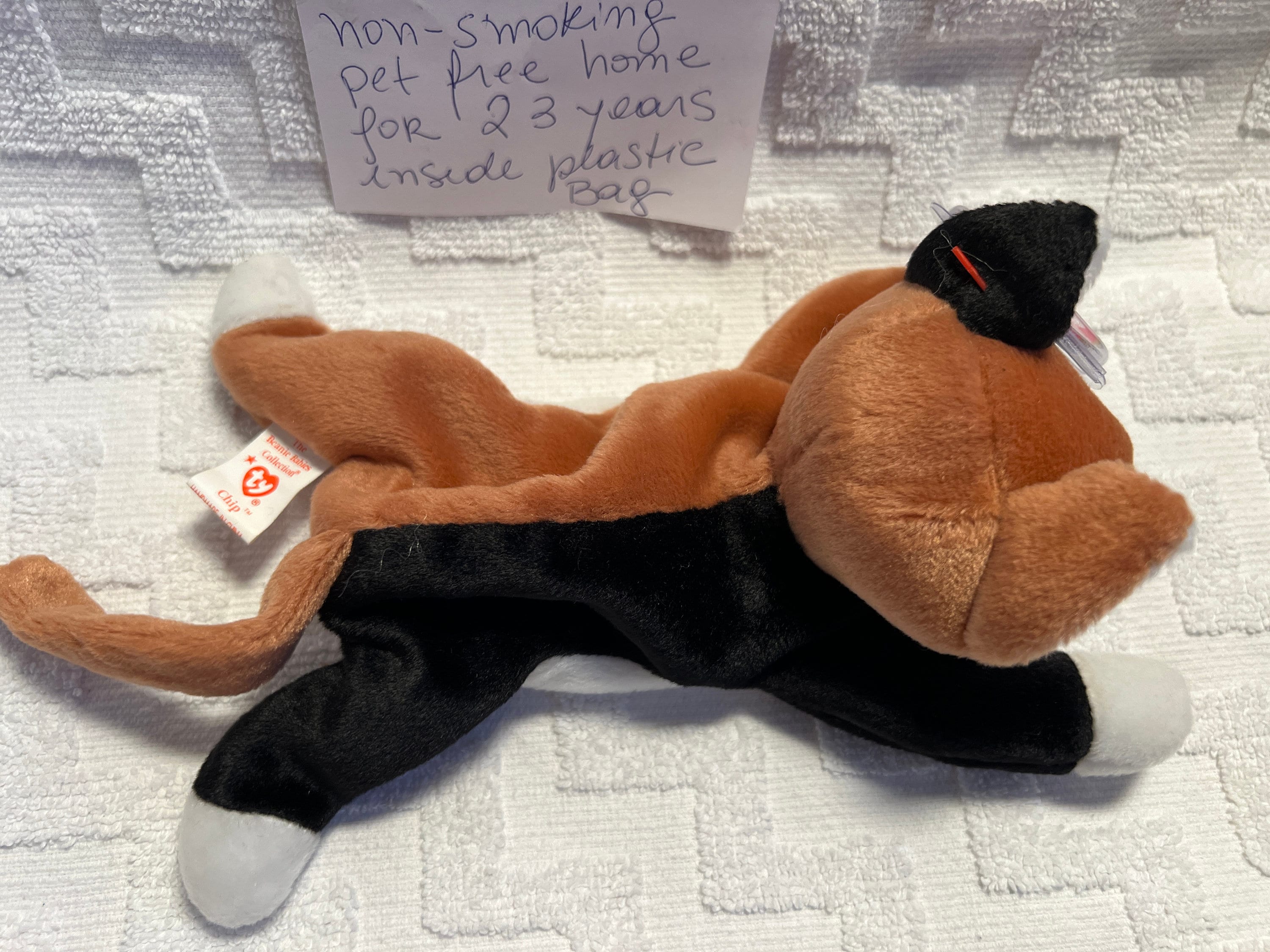 Rare Chip Cat Beanie Baby Limited Production. - Etsy