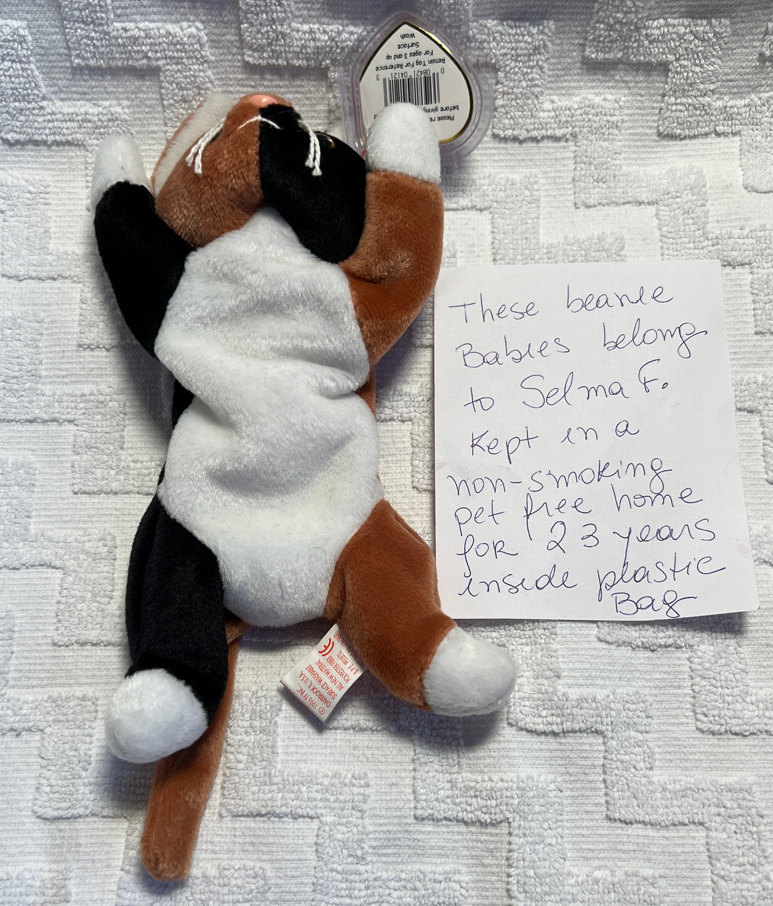 Rare Chip Cat Beanie Baby Limited Production. - Etsy