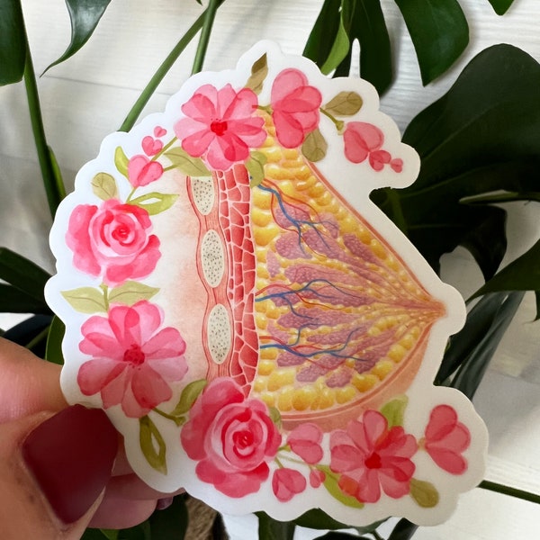 Breastfeeding Decal - Etsy