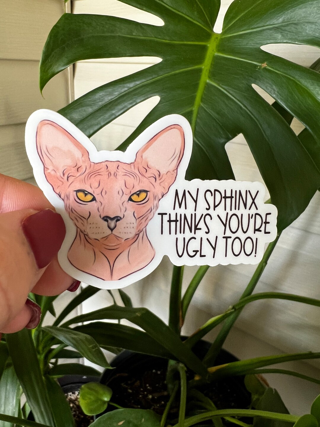 Sphynx Cat Sticker Naked Cat Hairless Car Sticker Laptop - Etsy
