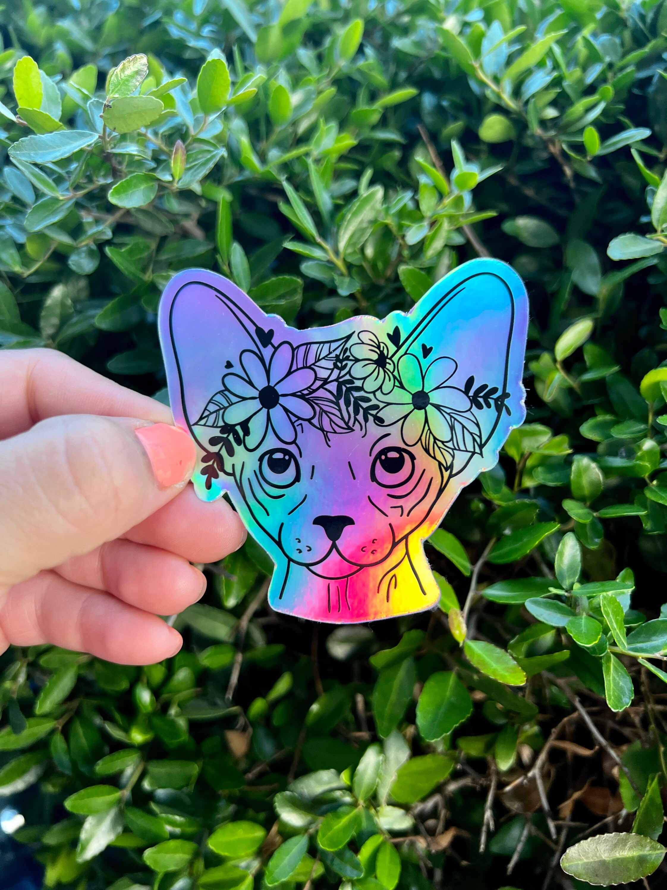 Holographic Sphynx Cat Sticker Naked Cat Hairless Car - Etsy