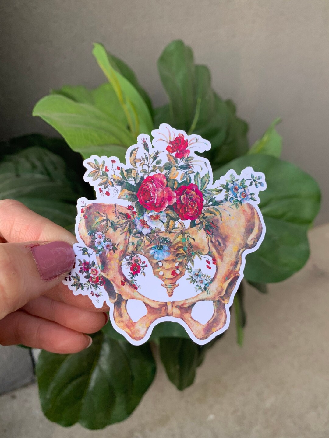 Floral Pelvic Bone Clear Vinyl Sticker Female Reproductive - Etsy
