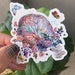 Placenta Sticker Newborn Organs human Body Floral Sticker Colorful ...