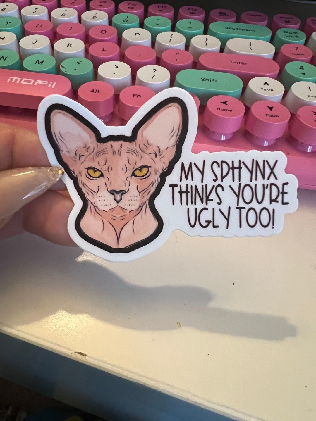 Sphynx Cat Sticker Naked Cat Hairless Car Sticker Laptop Sticker Hydro ...