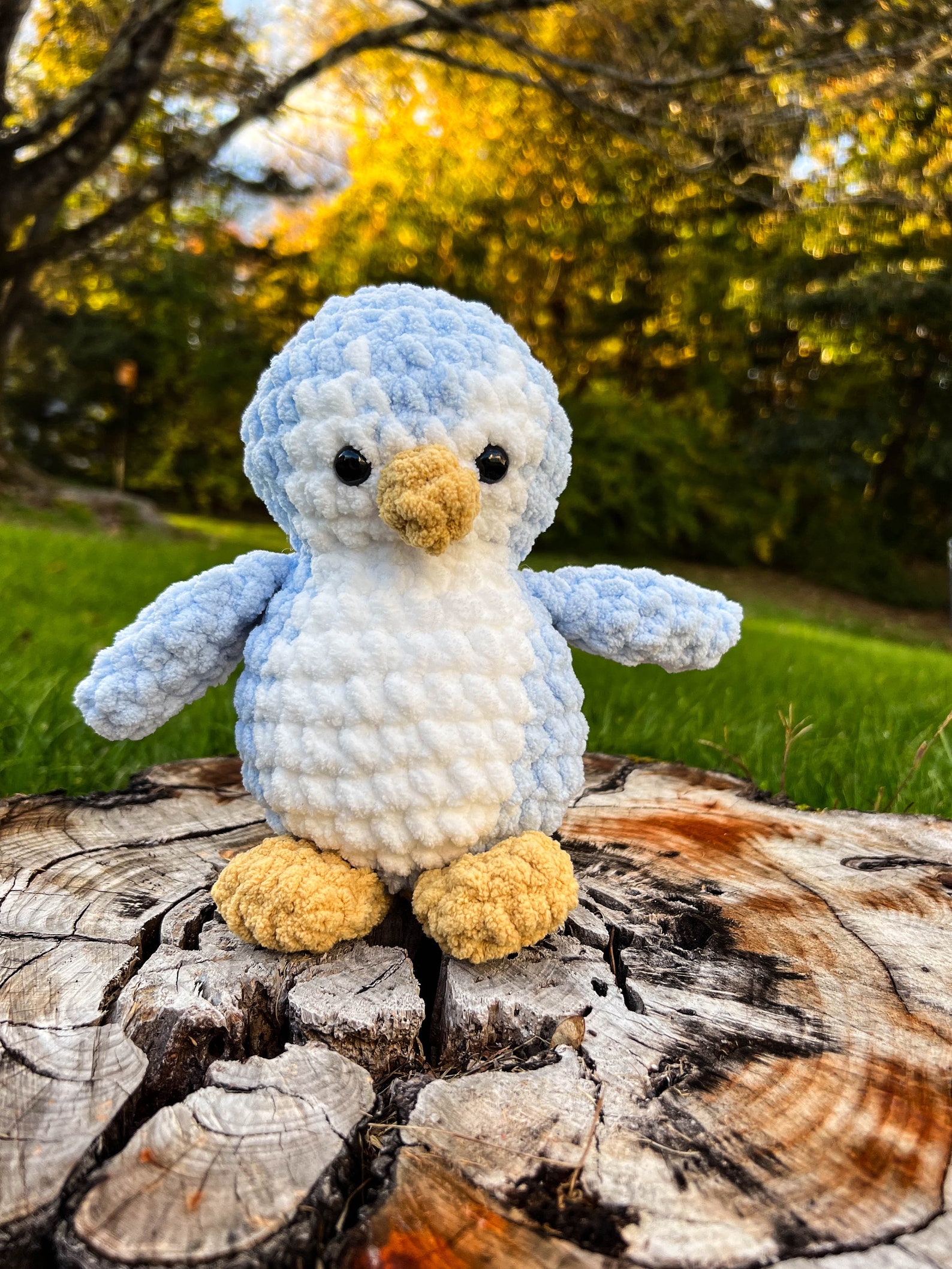 Poco the Baby Penguin - Etsy