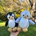 Poco the Baby Penguin - Etsy