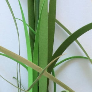 3D Paper Craft Cattail Typhaceae 1:12 Scale Cricut SVG Templates and ...