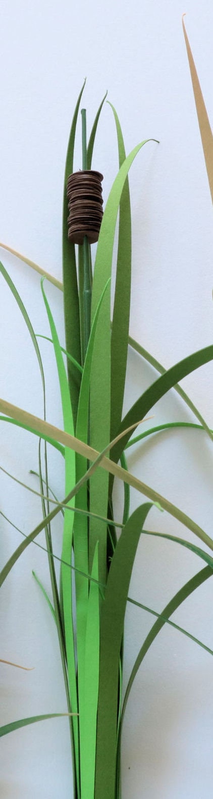 3D Paper Craft Cattail Typhaceae 1:12 Scale Cricut SVG Templates and ...