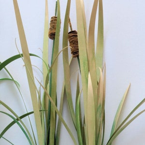 3D Paper Craft Cattail Typhaceae 1:12 Scale Cricut SVG Templates and ...