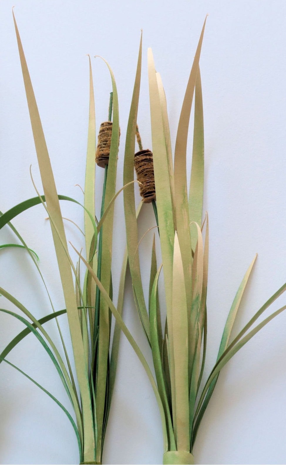 3D Paper Craft Cattail Typhaceae 1:12 Scale Cricut SVG Templates and ...