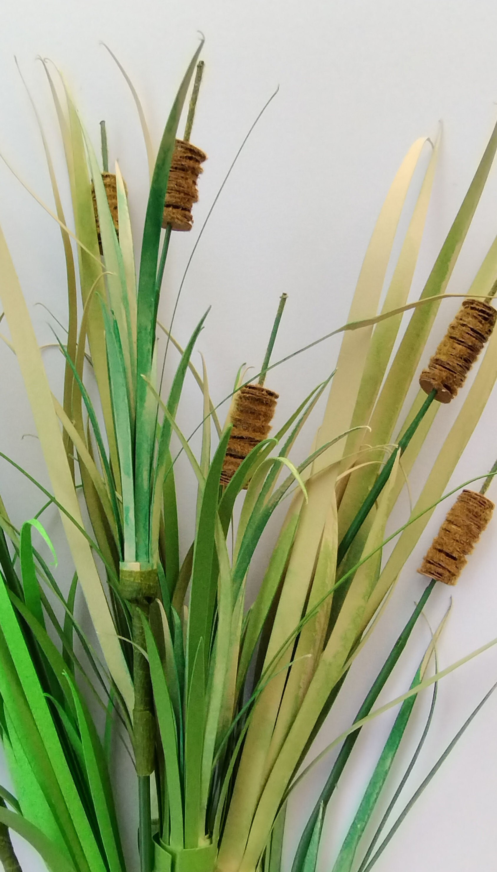 3D Paper Craft Cattail Typhaceae 1:12 Scale Cricut SVG Templates and ...