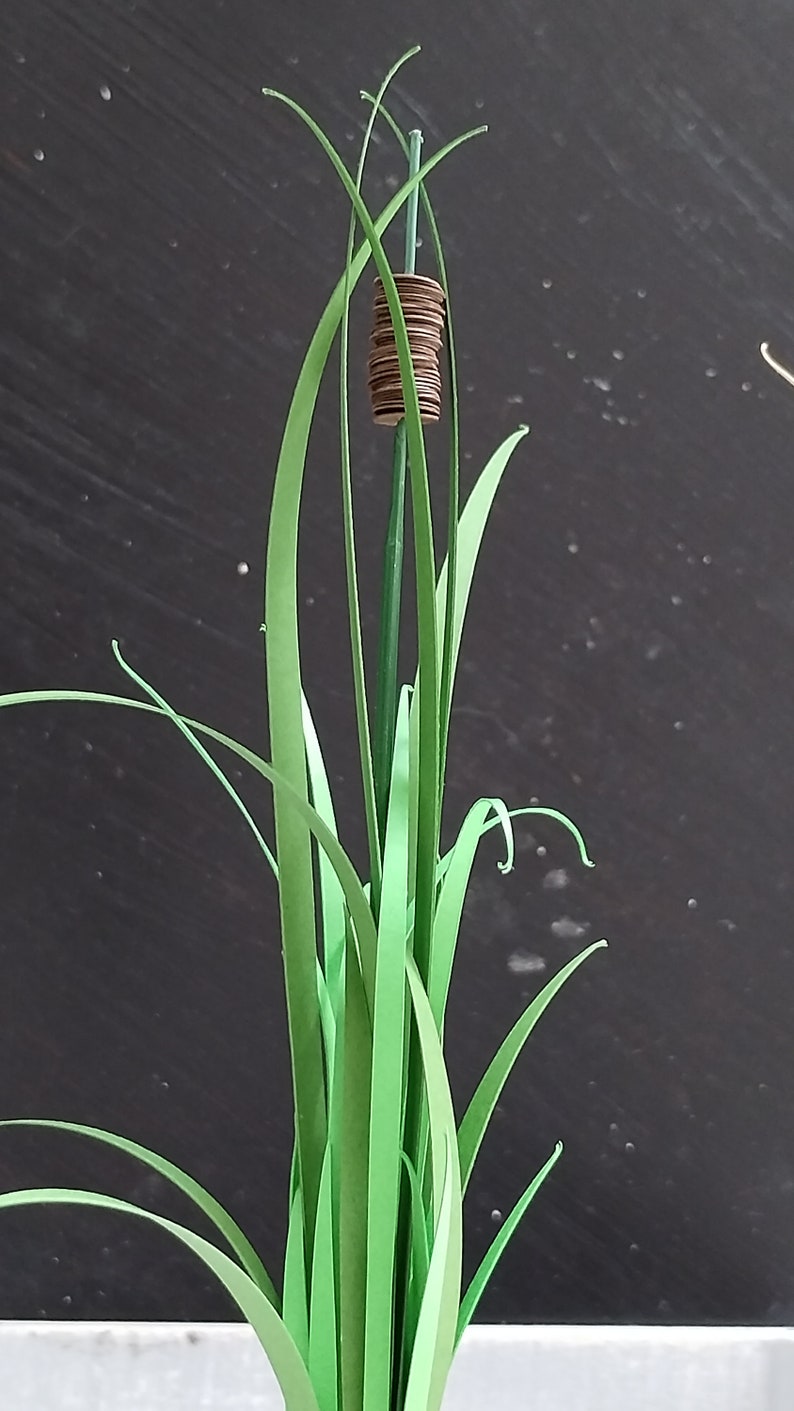 3D Paper Craft Cattail Typhaceae 1:12 Scale Cricut SVG Templates and ...