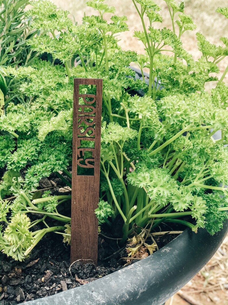 Custom Garden Stakes Vegetable and Herb Markers Garden | Etsy