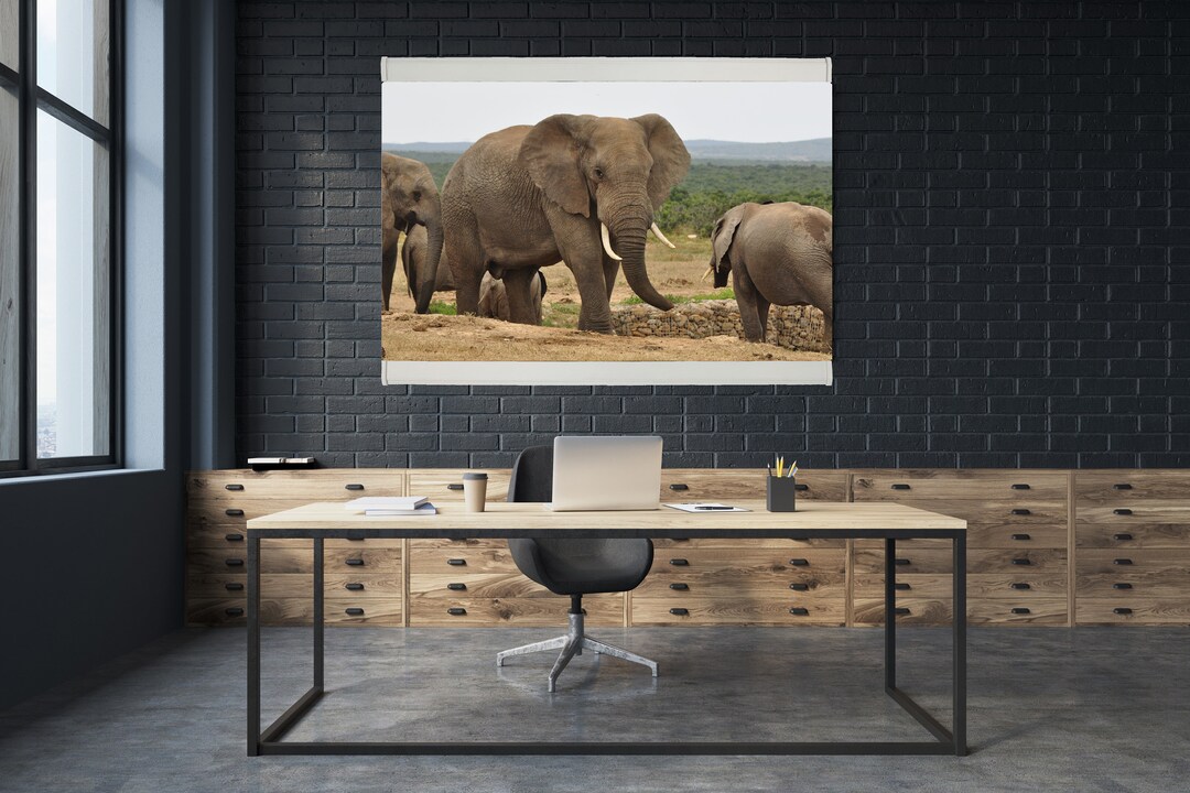 Runner Frames White Canvas Art Framing - Etsy