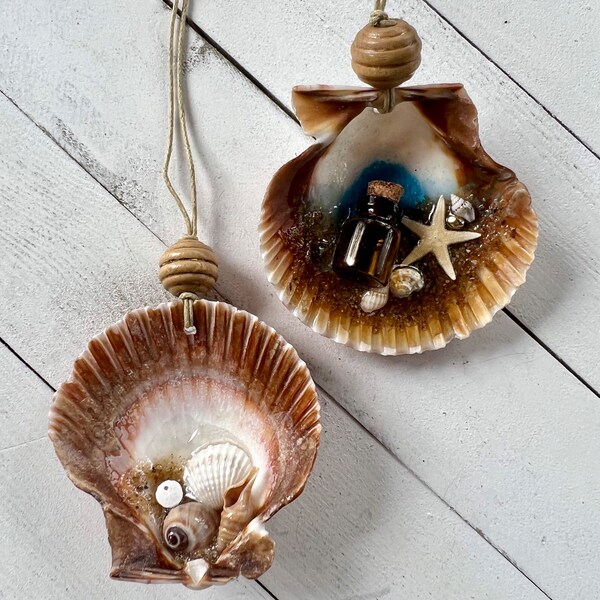 Shell Ornaments - Etsy