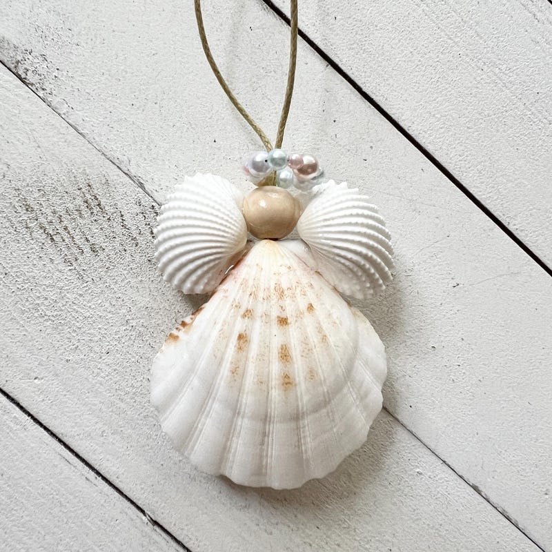 Seashell Angels - Etsy