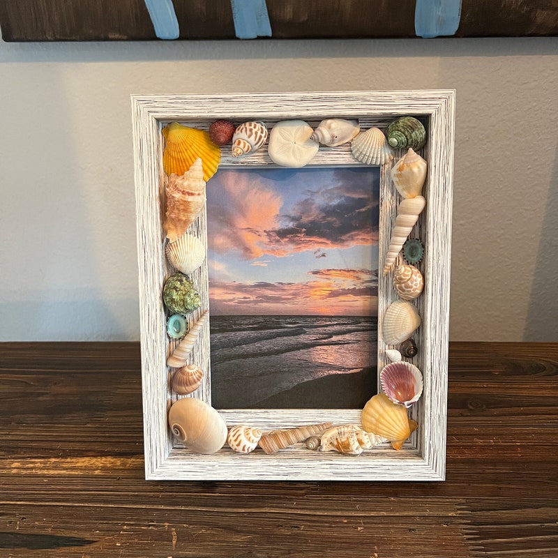 Shell Frame - Etsy