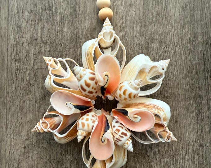 Seashell Ornament , Handmade Sliced Shell Ornament, Large, Double Sided With Babylon Shells - Etsy