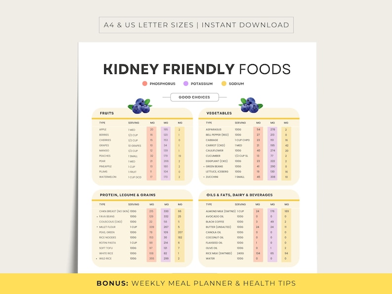 Kidney Friendly, Kidney Disease Food List Printable PDF With Bonus ...