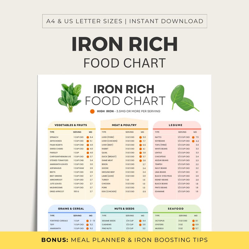 Iron Rich Foods Chart - Etsy