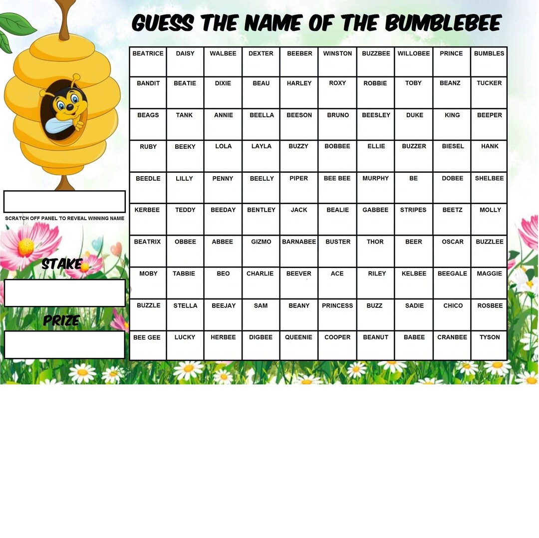 BEE Guess the Name of Scratchcard Fundraising Game Fete Fair Fayre ...